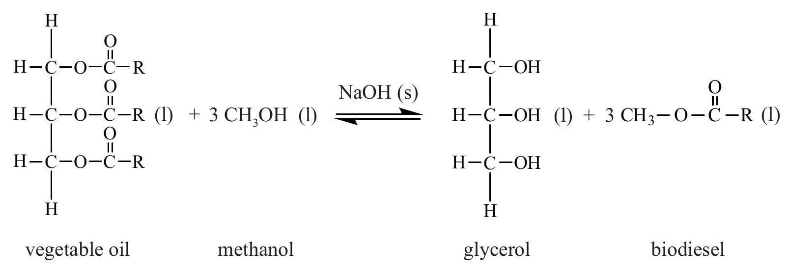 6.1 Collision theory and rates of reaction - IB Questionbank | RevisionDojo